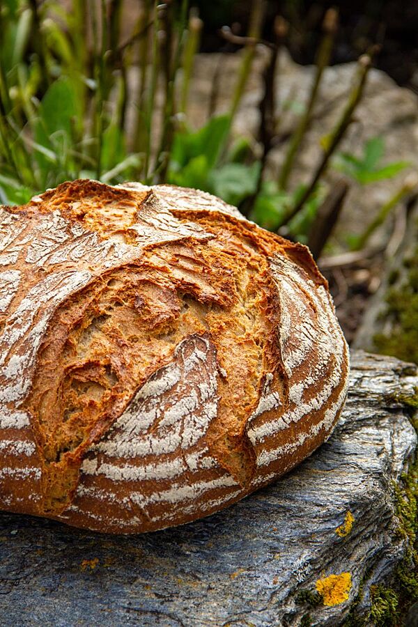 Rustikales Brot: Plötzblog