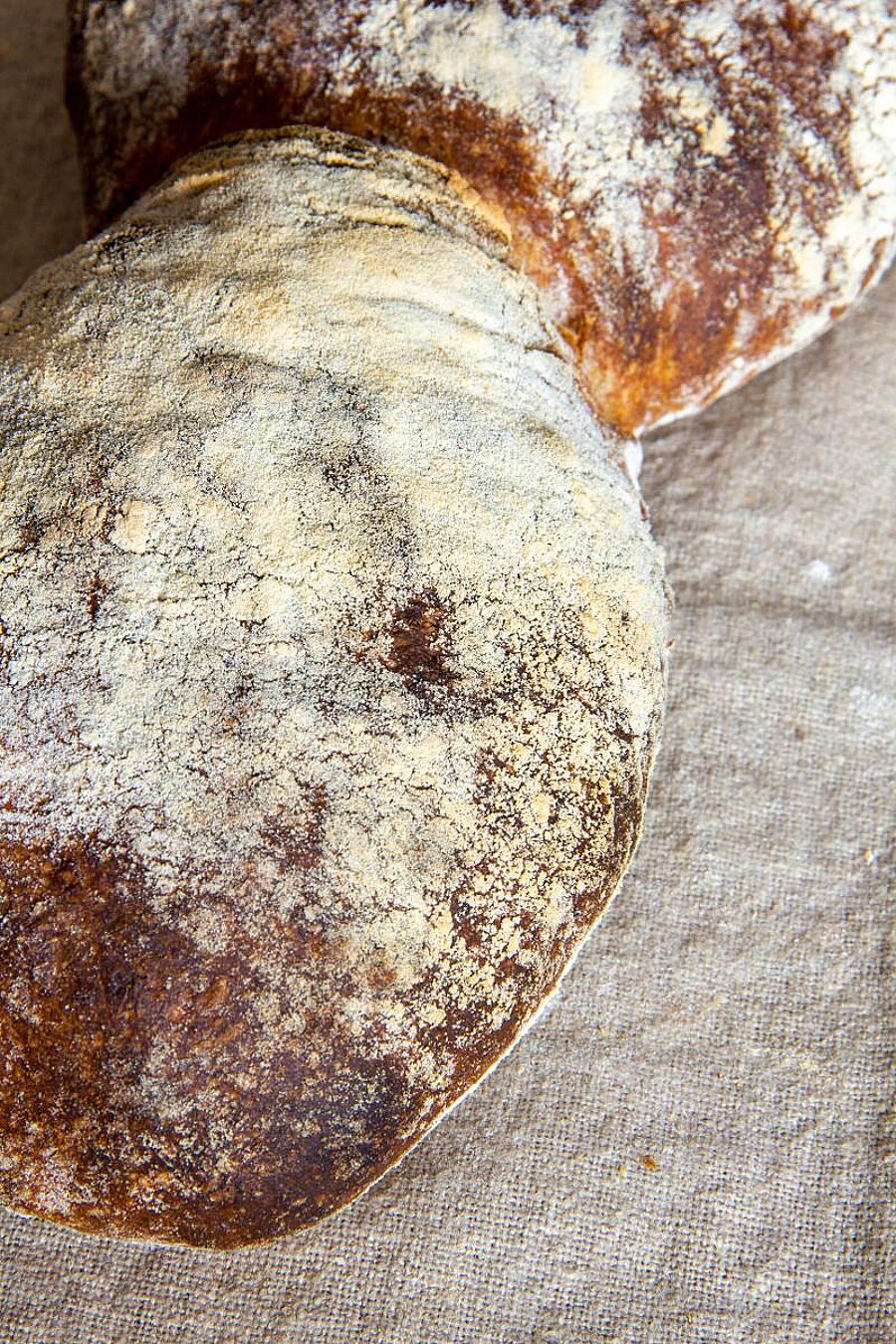 Basler Brot: Plötzblog