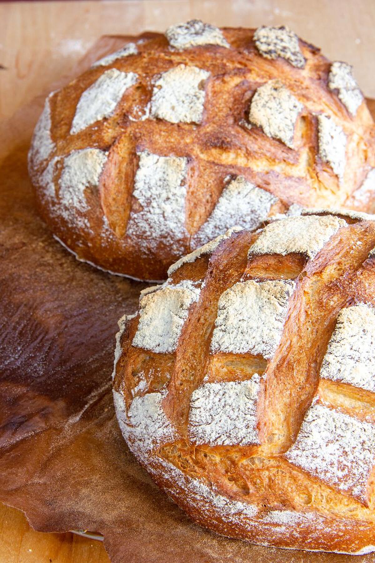 Burebrot: Plötzblog