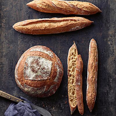 Rezepte aus „Krume und Kruste“: Plötzblog